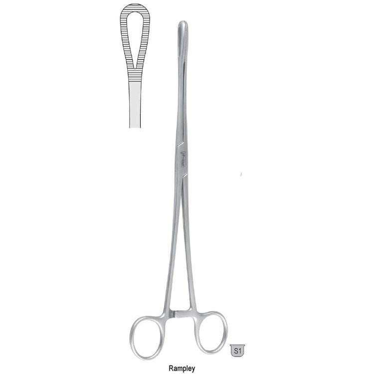 Forceps sponge Rampley 240mm - Falcon Medical